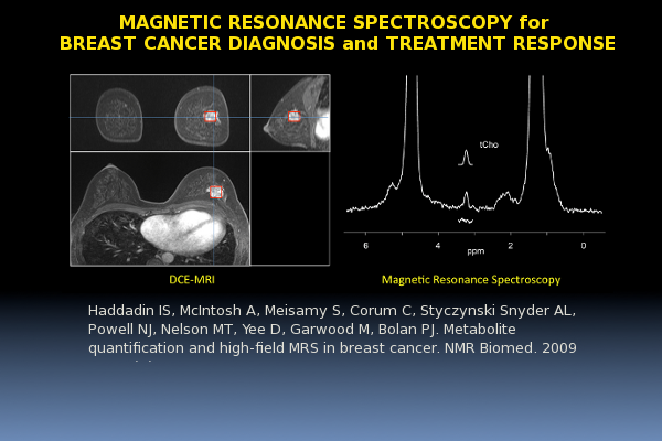 Cmrr Research Highlights Cancer Imaging And Treatment Response
